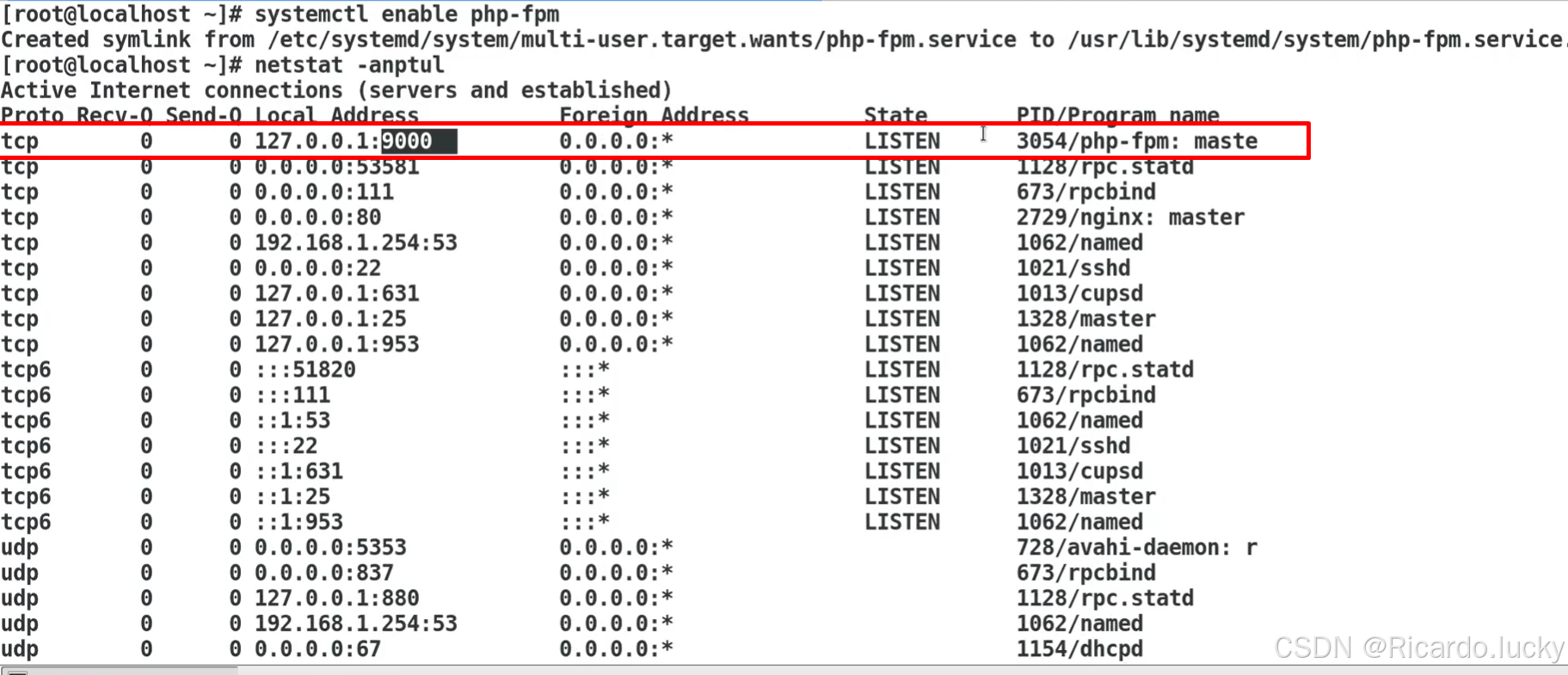 Nginx服务建立_nginx服务器-CSDN博客