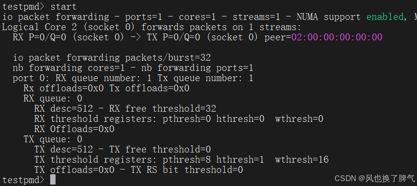 DPDK抓包工具dpdk-pdump使用教程-CSDN博客