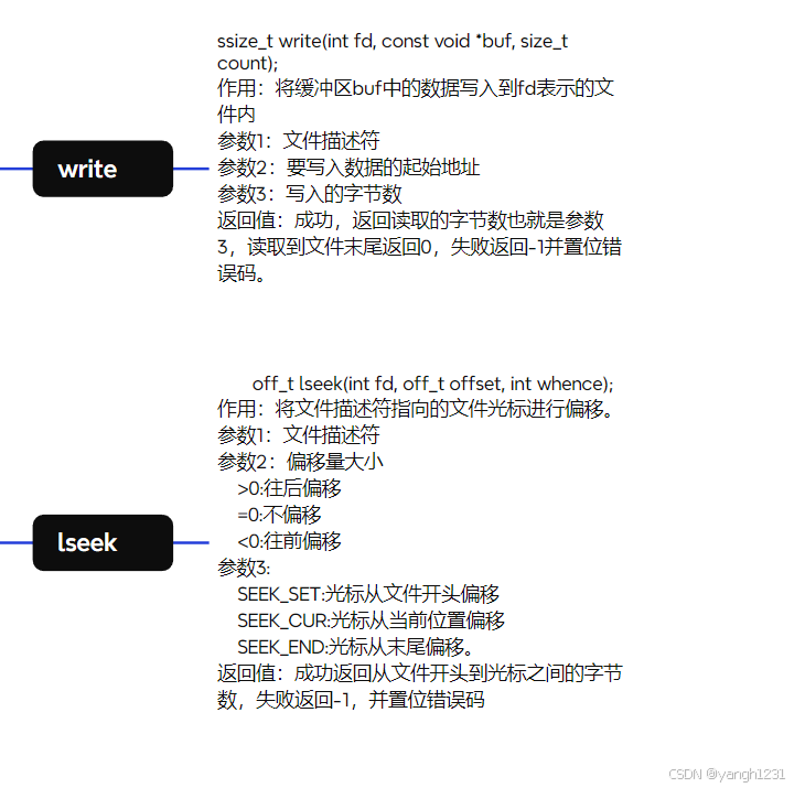 I/O day03-CSDN博客