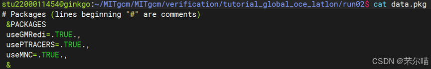 MITgcm入门-CSDN博客