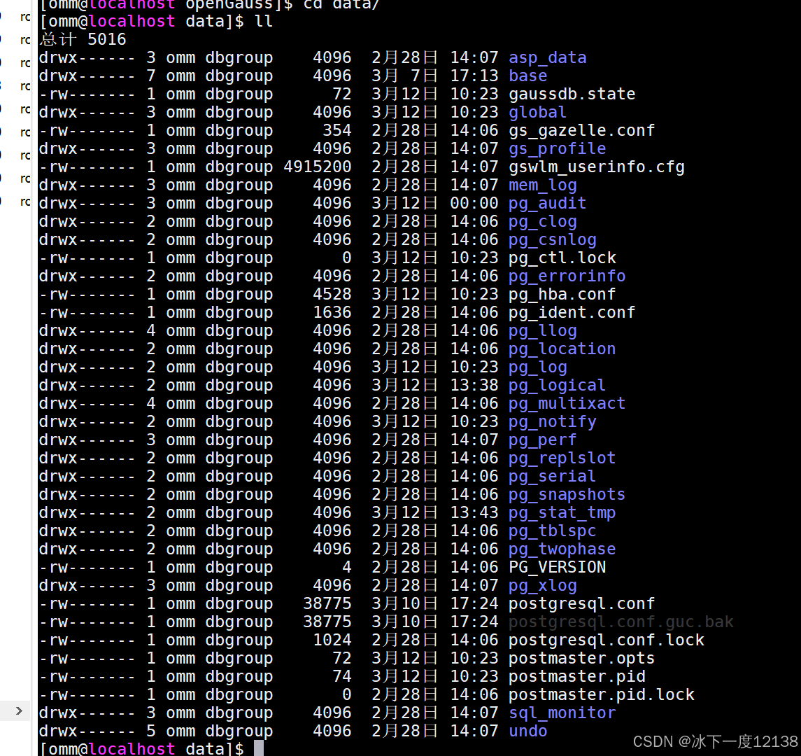 opengauss 数据库安装-CSDN博客