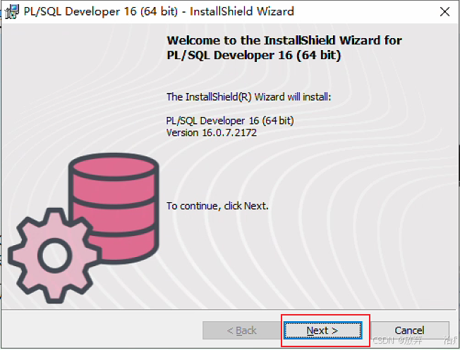 Windows 11 系统 Oracle PLSQL 工具（PL/SQL Developer 最新版本）完整安装与配置教程_plsql 安装-CSDN博客