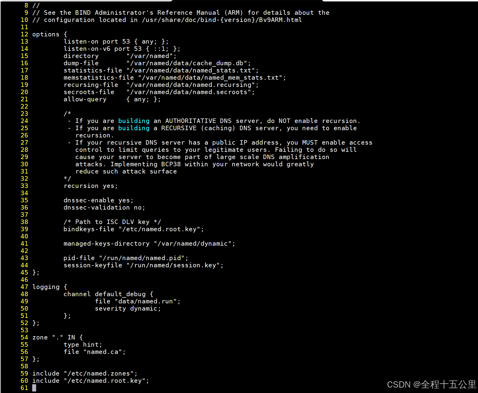 Linux里DNS的配置与管理-CSDN博客