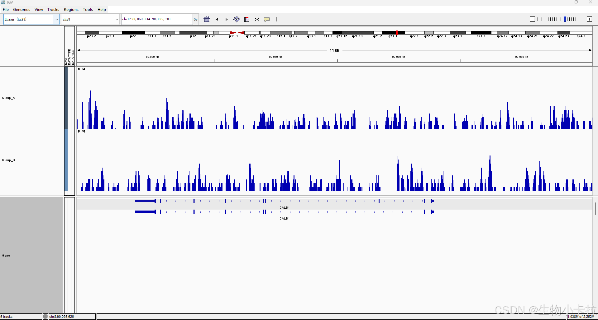 IGV软件系列--peak可视化 -CSDN博客