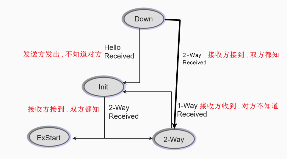 网络基础DAY19-OSPF-CSDN博客