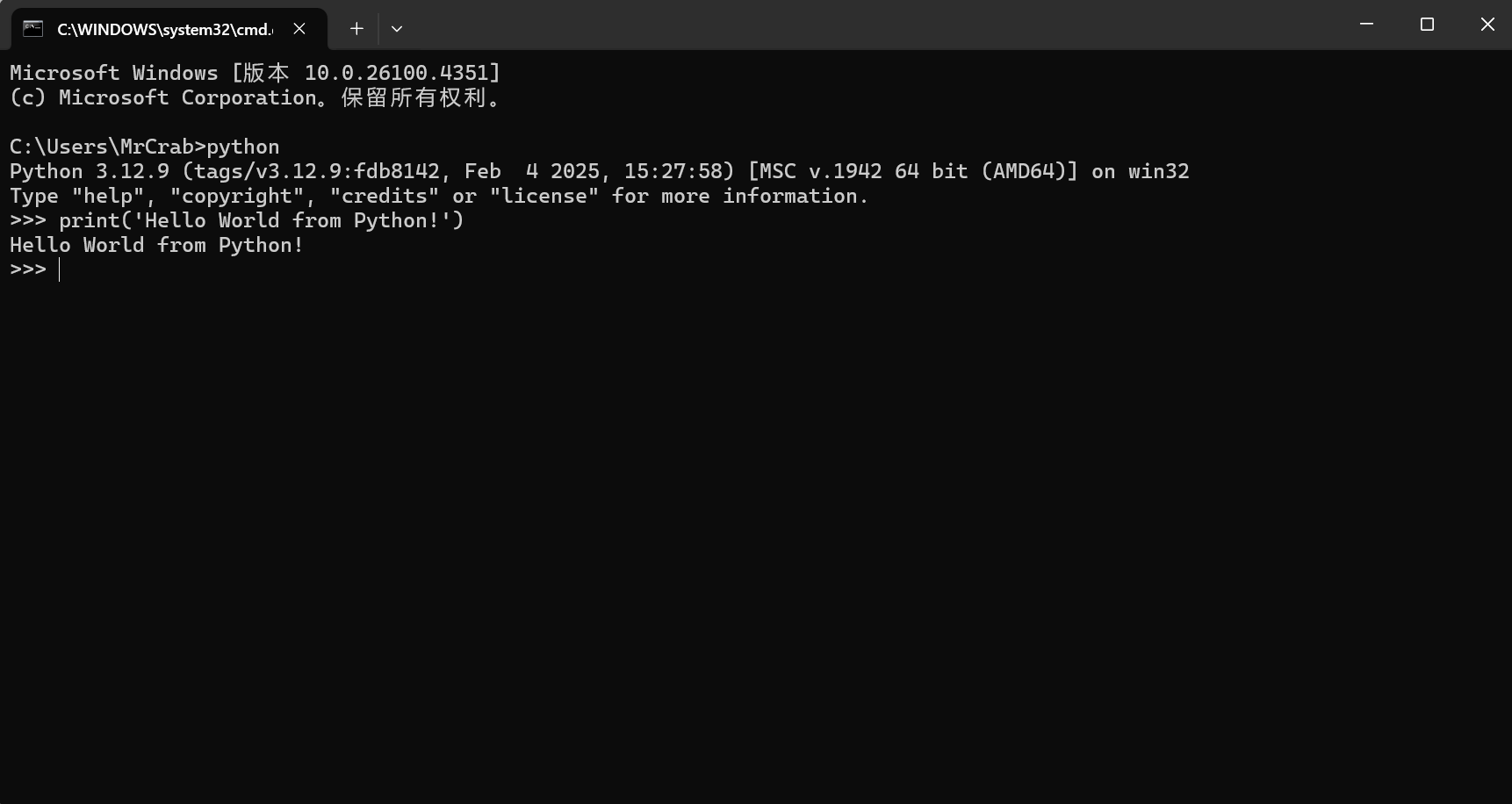 超详细的windows系统下的python环境配置教程windows配置python环境 Csdn博客