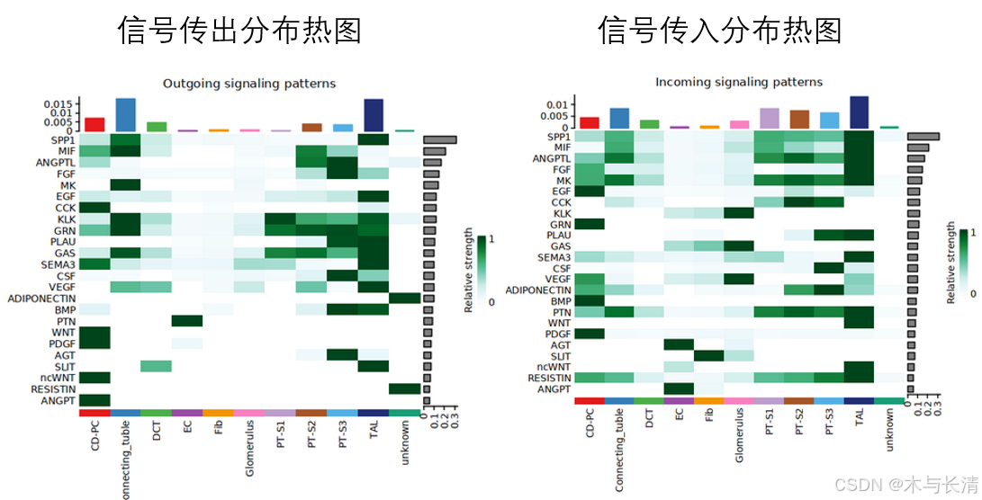 利用cellchat进行细胞通讯分析及可视化-CSDN博客
