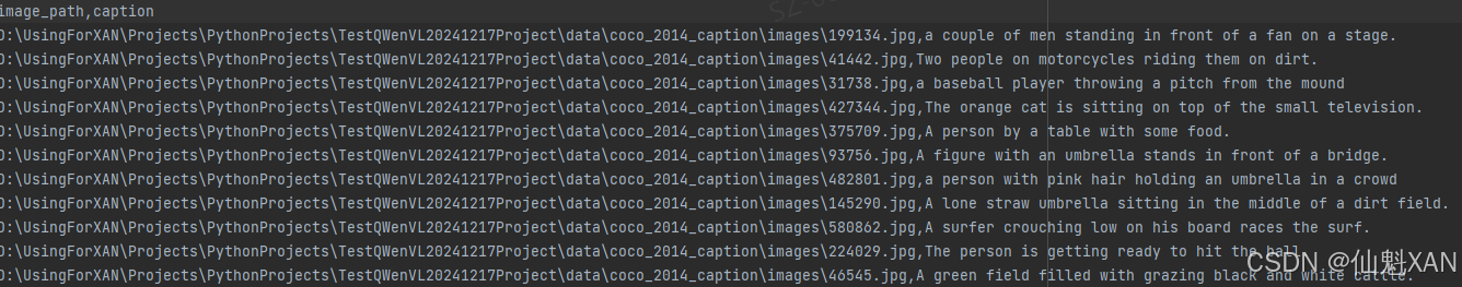 Python 【大模型】之 使用千问Qwen2-VL 多模型大模型进行训练并识别图像_qwen-vl-utils-CSDN博客
