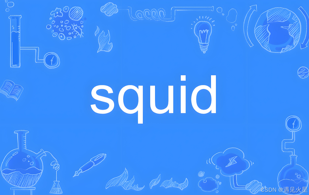在Linux上部署与优化Squid代理服务器的终极指南!_linux squid-CSDN博客