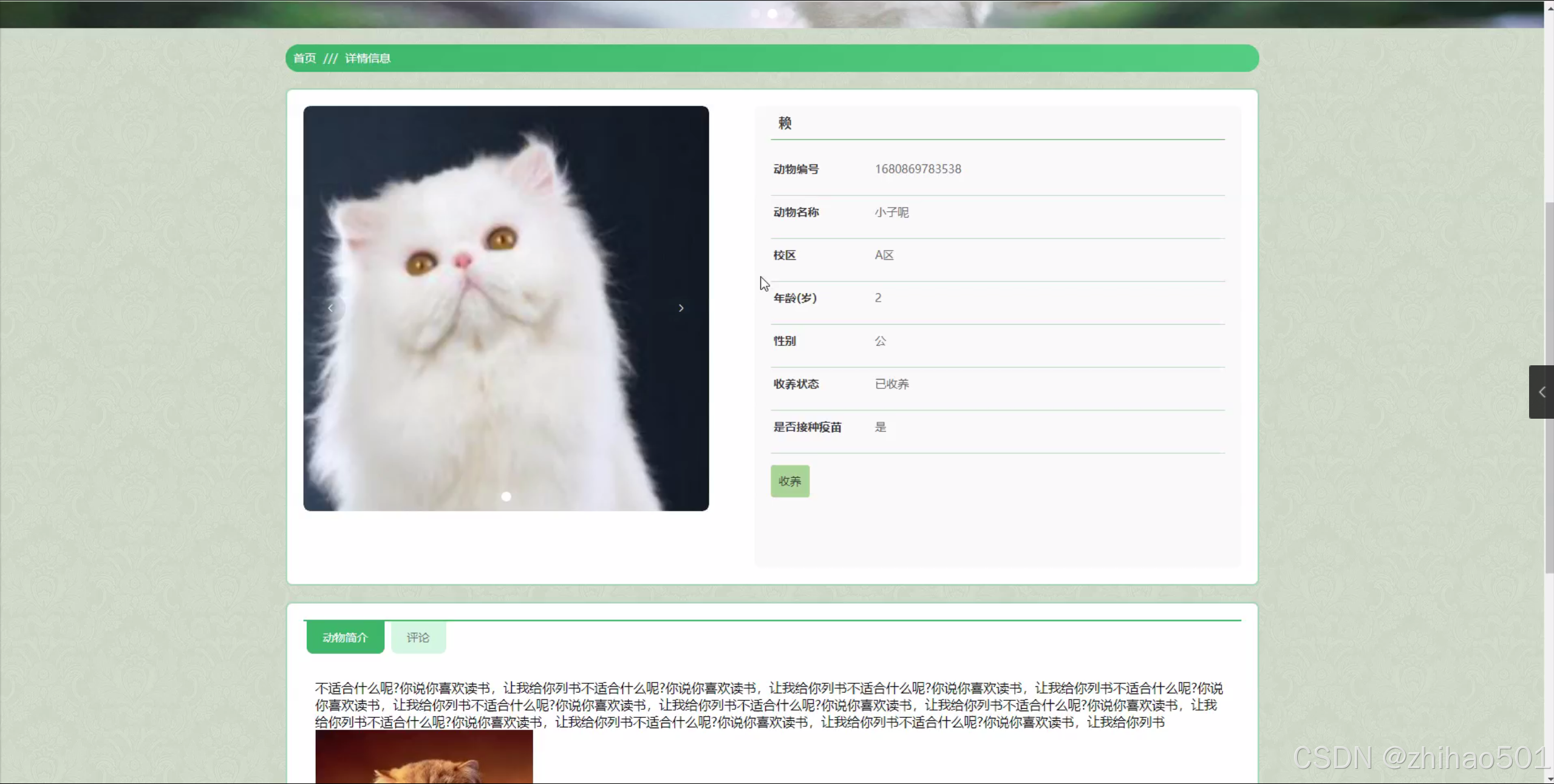 基于pythonflask框架的校园流浪猫管理平台(开题程序论文) 计算机毕设 Csdn博客