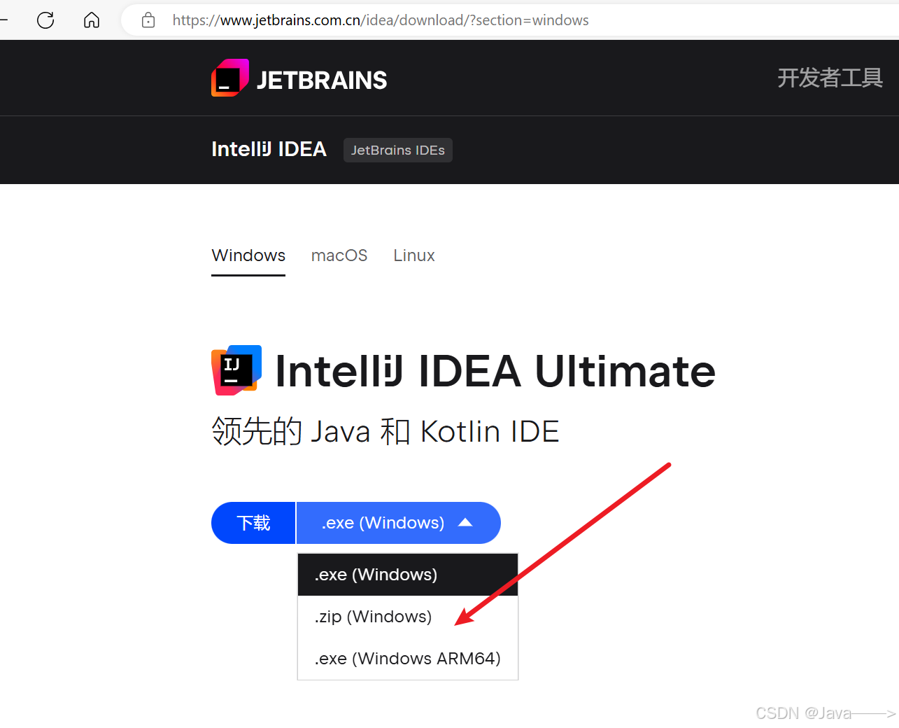 win11安装两个idea_安装多个idea-CSDN博客