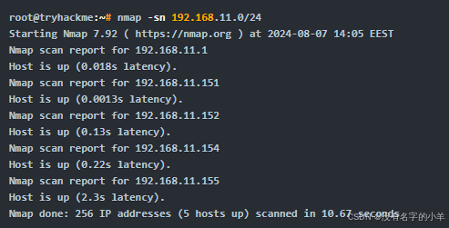 tryhackme-Cyber Security 101-Networking-Nmap: The Basics（Nmap：基础知识）_tryhackme nmap-CSDN博客