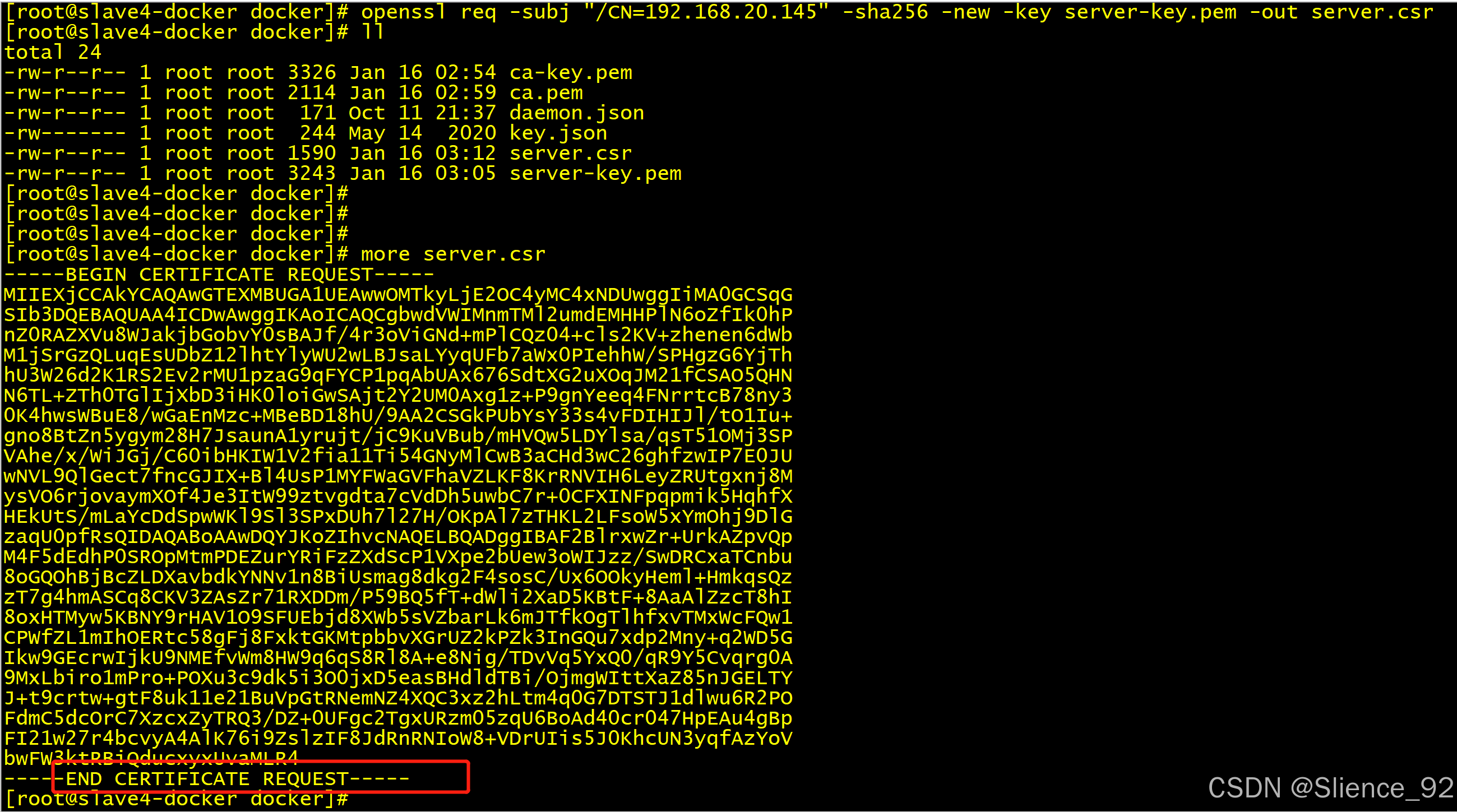Docker_CA认证原理及配置_docker ca-CSDN博客