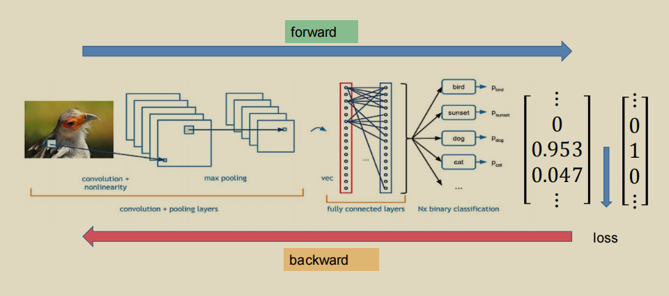 Classification-CSDN博客