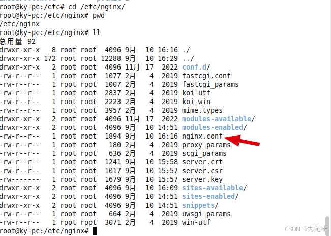麒麟桌面操作系统V10(SP1)安装NGINX REDIS JDK FIEWALLD_麒麟v10 安装nginx-CSDN博客