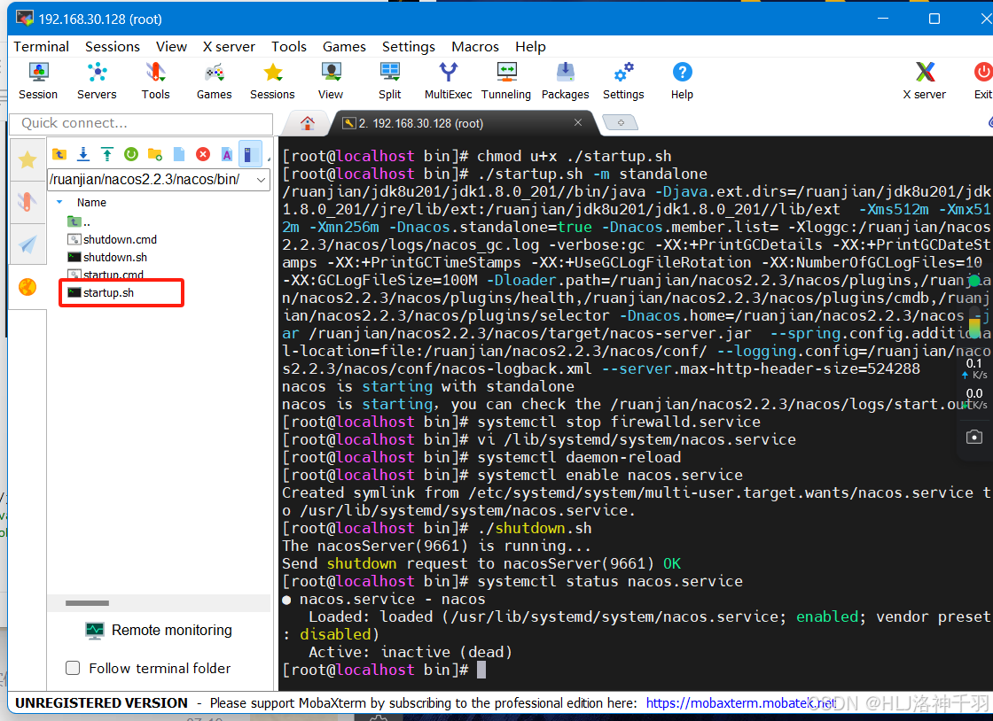 Linux系统上安装Nacos_liunx nacos安装包 百度云盘-CSDN博客