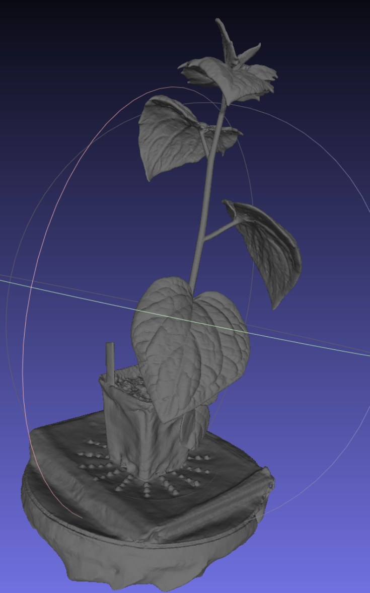 Neuralangelo复现-CSDN博客