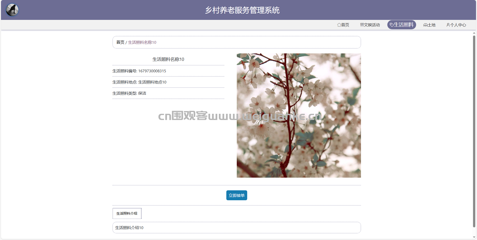 乡村养老服务管理系统-springboot vue java-CSDN博客