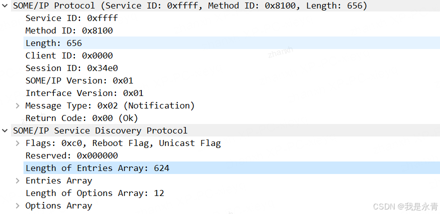 SOMEIP简介_some ip-CSDN博客