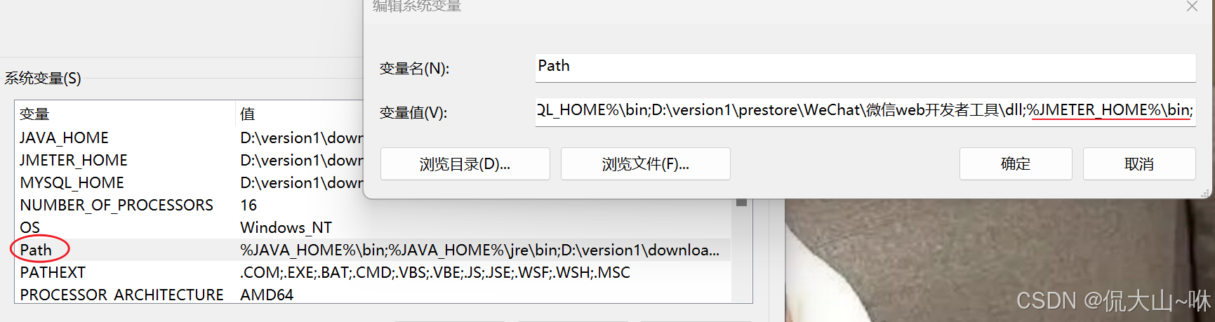 JMeter5.6.3安装配置_apache-jmeter-5.6.3-CSDN博客