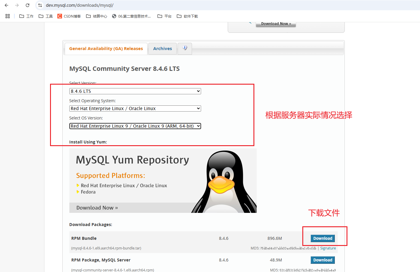 linux（Red Hat）安装MySQL8.4.6_linux mysql8.4.6 安装-CSDN博客
