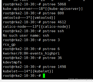 pstree 命令介绍和使用案例_pstree用法-CSDN博客