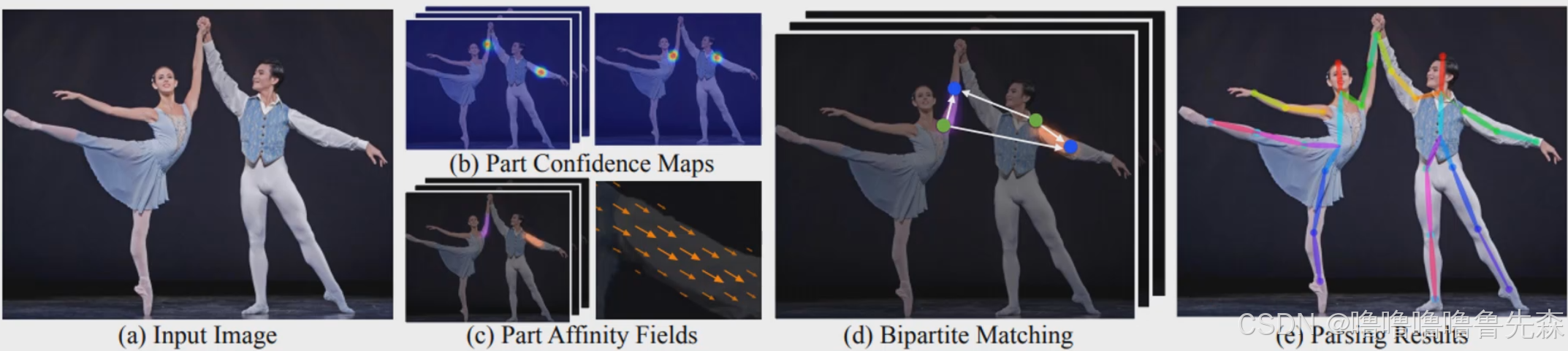 OpenPose姿态估计（Pose Estimation）-CSDN博客