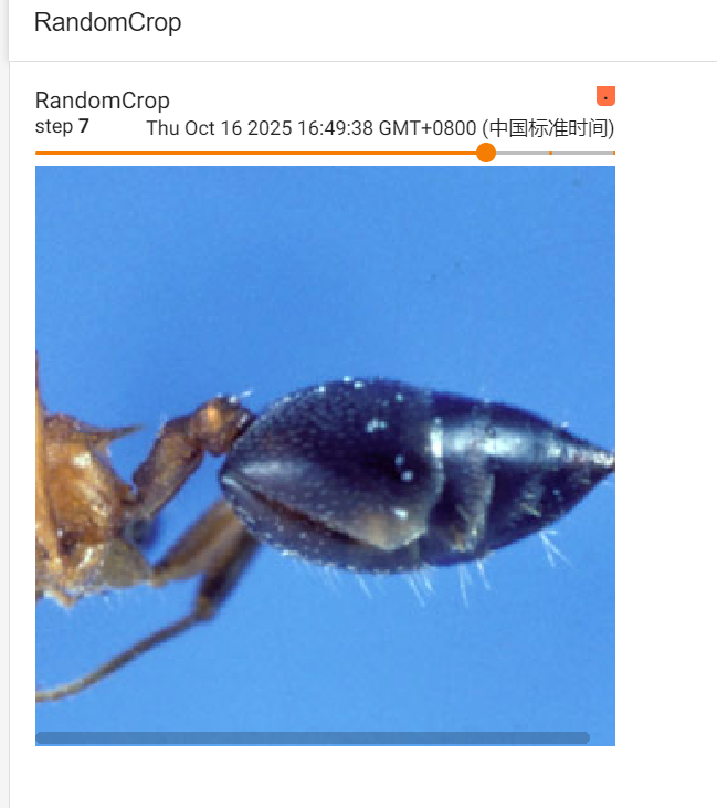 PyTorch深度学习笔记（四）（Transforms的使用）_python transforms.resize-CSDN博客