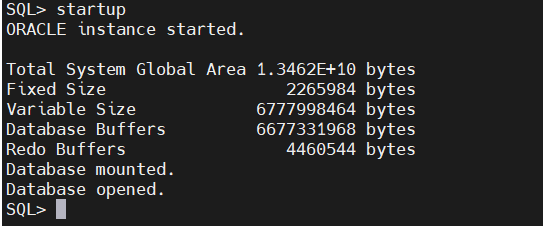 Linux下启动orecal 数据库_oracle数据库如何在liunx系统启动-CSDN博客