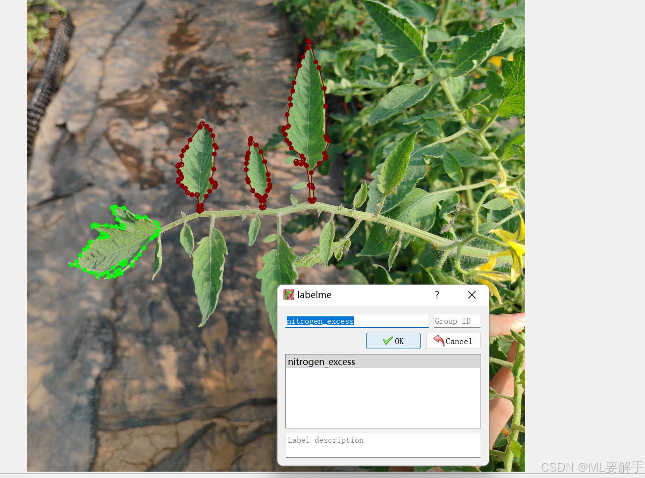 Labelme安装AI打框牛马_labelmeai-CSDN博客