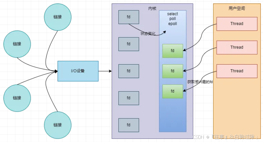 Linux系统编程——IO多路复用(select，poll，epoll)详解及应用场景使用分析汇总_poll 例程-CSDN博客