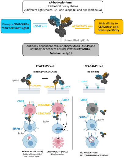 广谱肿瘤标志物CEA-CSDN博客