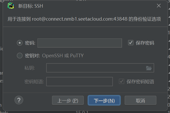 AutoDL GPU租用、数据传输以及pycharm远程连接，一次成功（避坑）_autodl云服务器-CSDN博客
