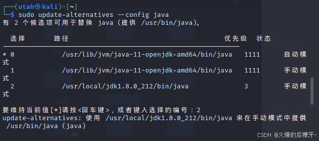 kali安装及切换jdk1.8_kali安装java1.8-CSDN博客