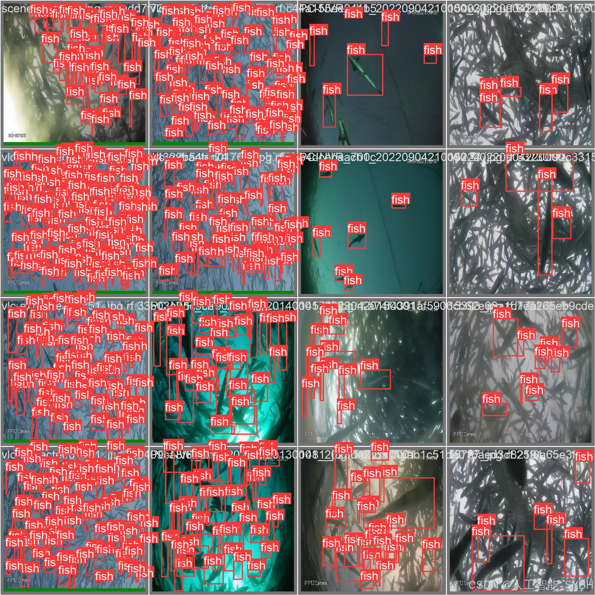 基于yolov10的水下鱼类检测系统(深度学习模型ui界面python代码训练数据集)水下鱼类识别系统 Csdn博客