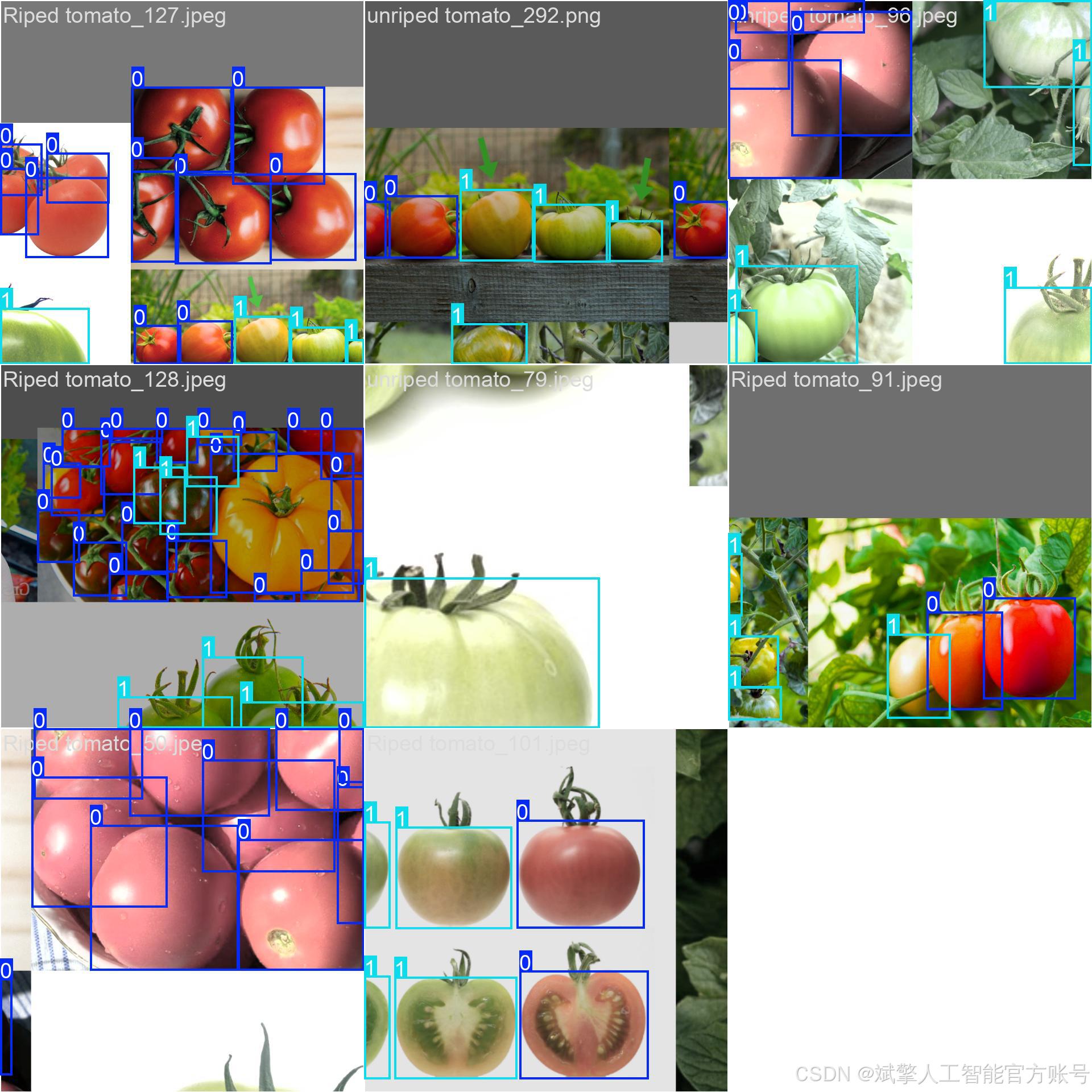 基于深度学习YOLOv11的番茄成熟度检测系统（YOLOv11+YOLO数据集+UI界面+登录注册界面+Python项目源码+模型）_python+yolo11-CSDN博客