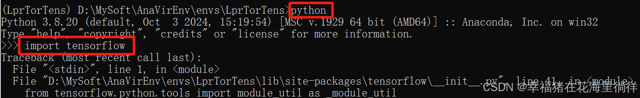 6在同一个虚拟环境安装tensorflow和pytorch框架pytorch和tensorflow可以装在一个环境中吗 Csdn博客