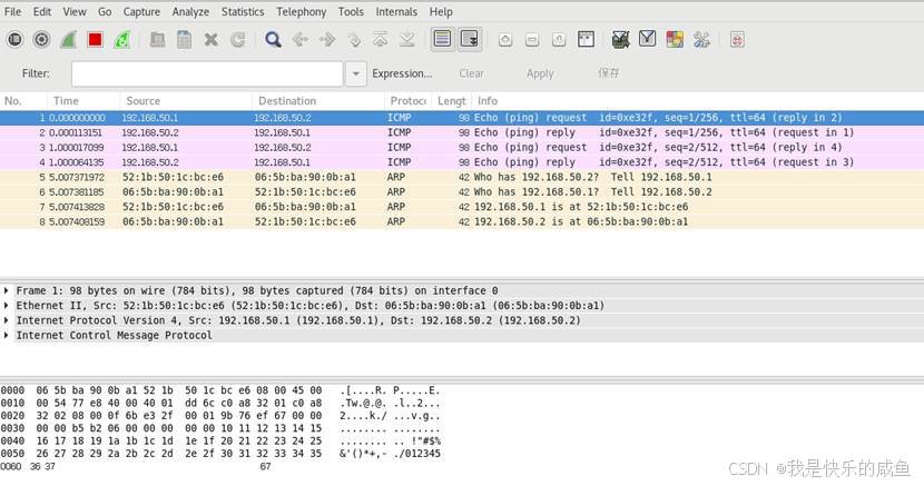 实验一：Linux虚拟网络环境和Wireshark抓包软件_vmware linux wireshark的使用实验-CSDN博客