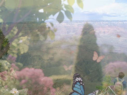 DSP：基于CCS（TI C6000）的图像二次曝光设计_ti c6000 硬件加速-CSDN博客