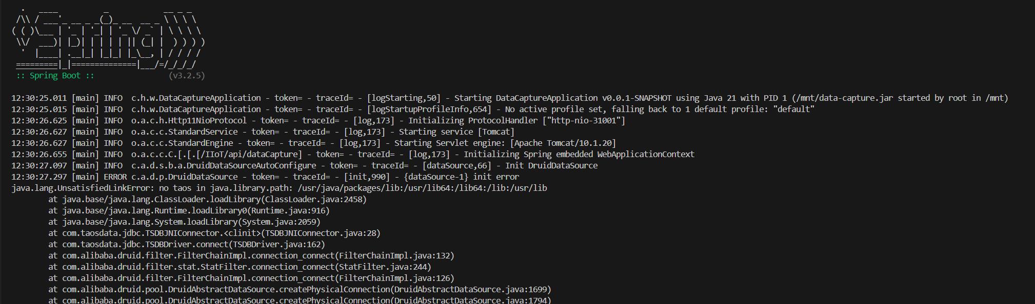 springboot 集成 TDengine 数据库容器部署java应用启动时报数据源初始化错误避坑_springboot项目启动 tdengine报错-CSDN博客