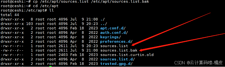 apt换源和yum换源详细过程（最后一站）（含centos过期源）-CSDN博客