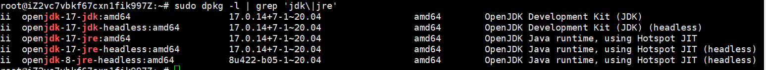 ubuntu 安装与卸载jdk17_ubuntu安装jdk17-CSDN博客