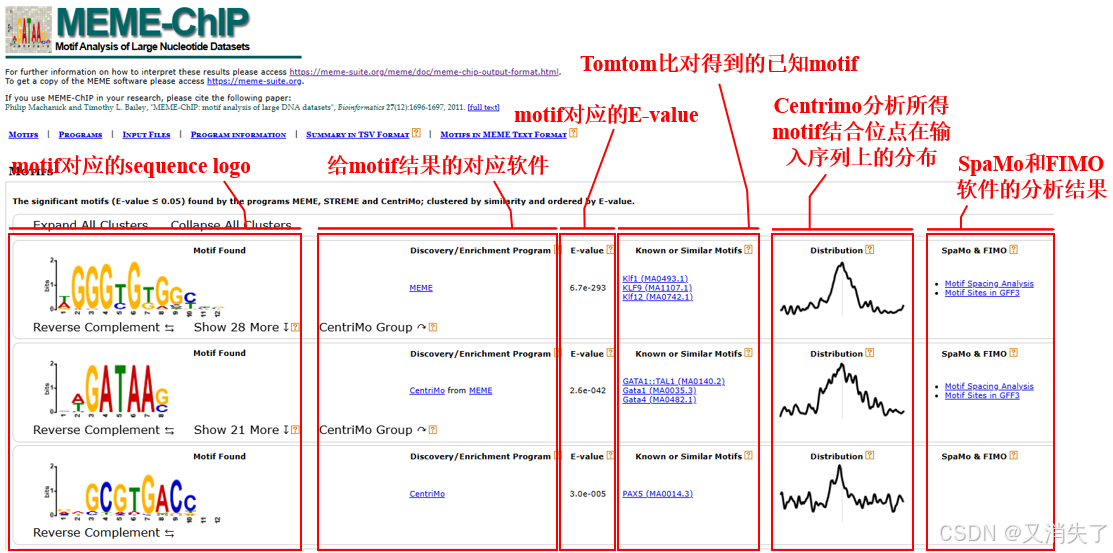 MEME-CHIP使用与结果分析-CSDN博客