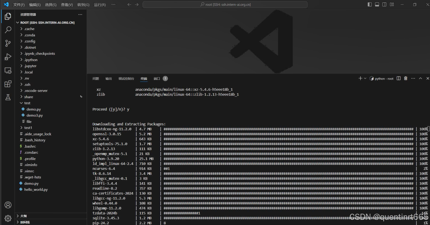 pip安装到指定目录& Vscode连接InternStudio debug笔记_vscode安装pip-CSDN博客