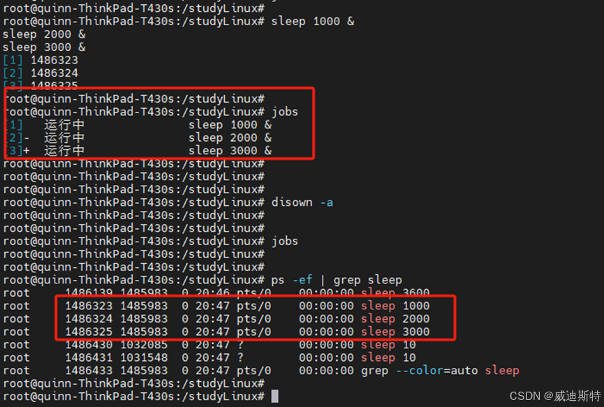 linux命令：用于从当前系统shell 的作业控制中移除一个或多个后台作业的命令disown详解_linux disown-CSDN博客