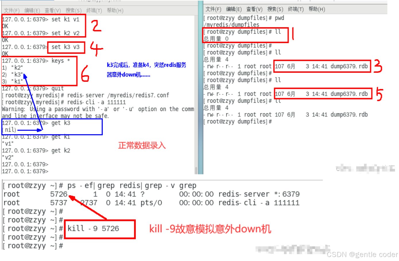 Redis_rdb概述及作用、自动触发、手动触发、优势劣势、触发场景、配置项详解_redis 动态配置rdb 存储-CSDN博客