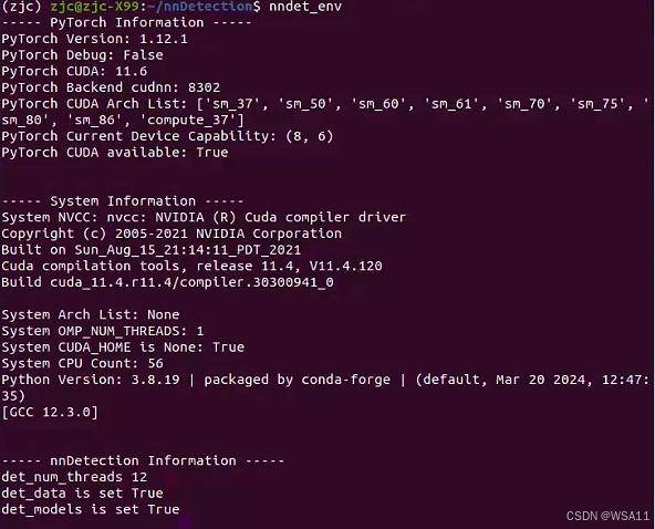 记录nnDetection终于跑通了_nndetection环境配置-CSDN博客