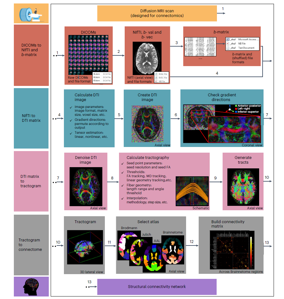 扩散 MRI 与结构连接组学：从原理到应用_概率性纤维追踪odf-CSDN博客