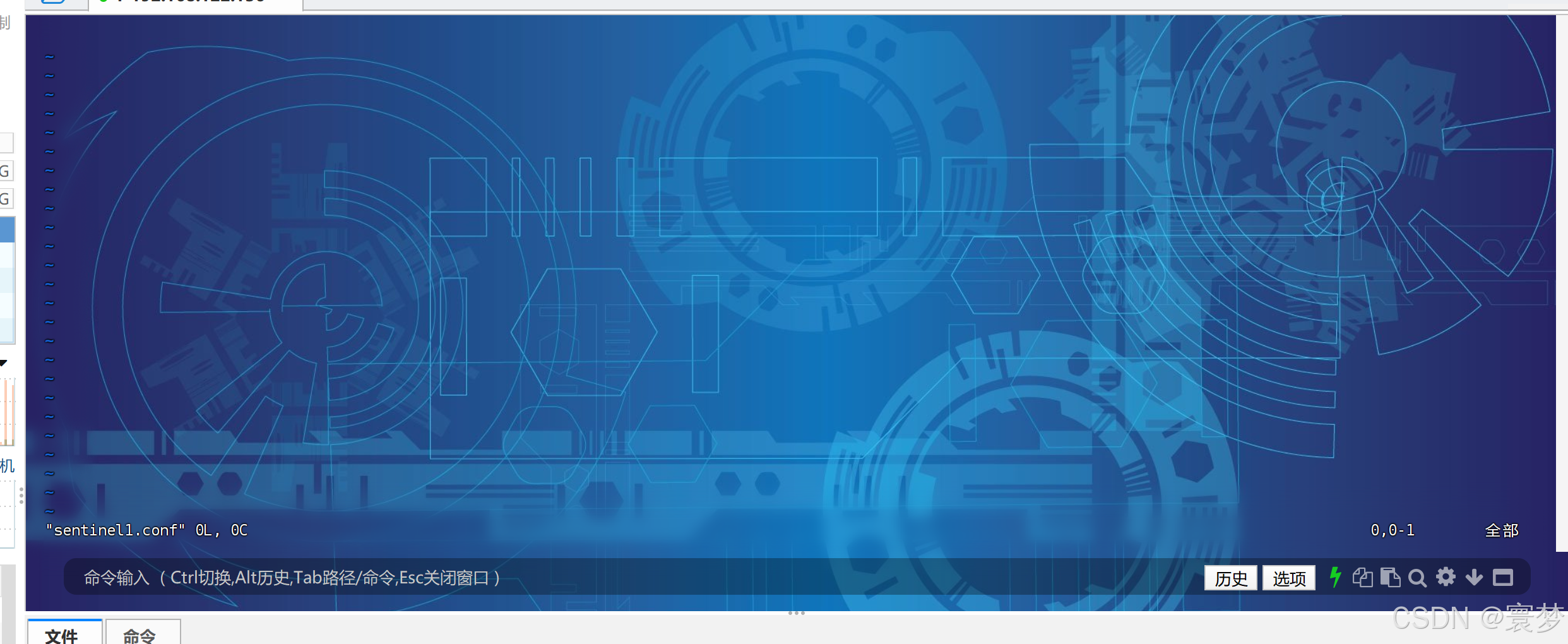 Docker安装redisredis50（一主二从三哨兵）docker Redis版本 Csdn博客
