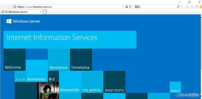 Windows11 IIS+DNS搭建ssl证书网站_win11 ssl证书-CSDN博客